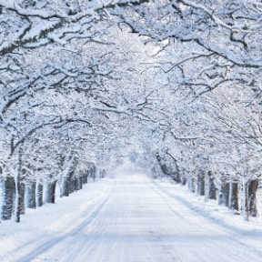 Articles about MassMutual's history - Since 1851 | MassMutual